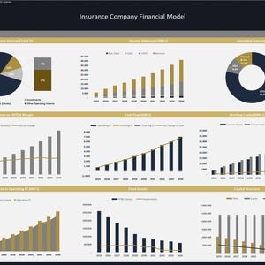 Insurance Company Financial Model – Dynamic 10 Year Forecast - Etsy