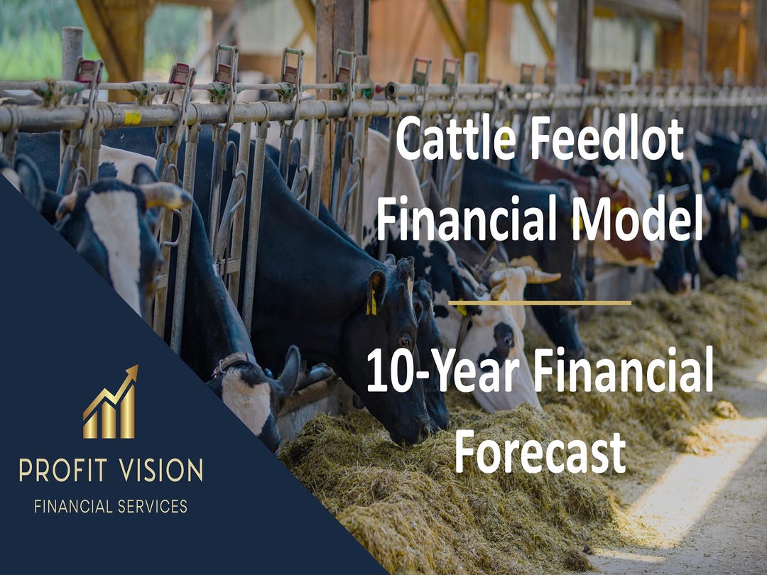 Cattle Feedlot – 10 Year Financial Model - Etsy