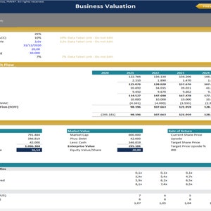 DCF & Sensitivity Business Valuation Model Financial Model Discounted ...