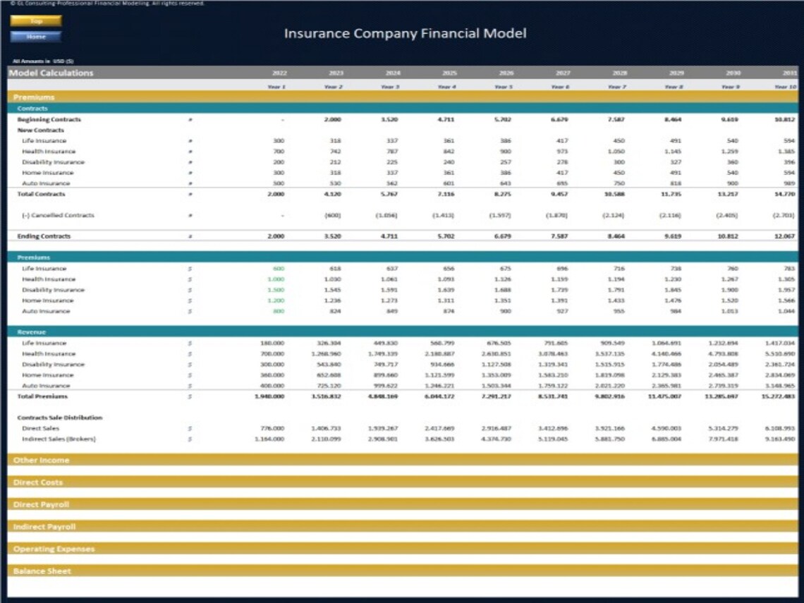 Insurance Company Financial Model Dynamic 10 Year Forecast - Etsy