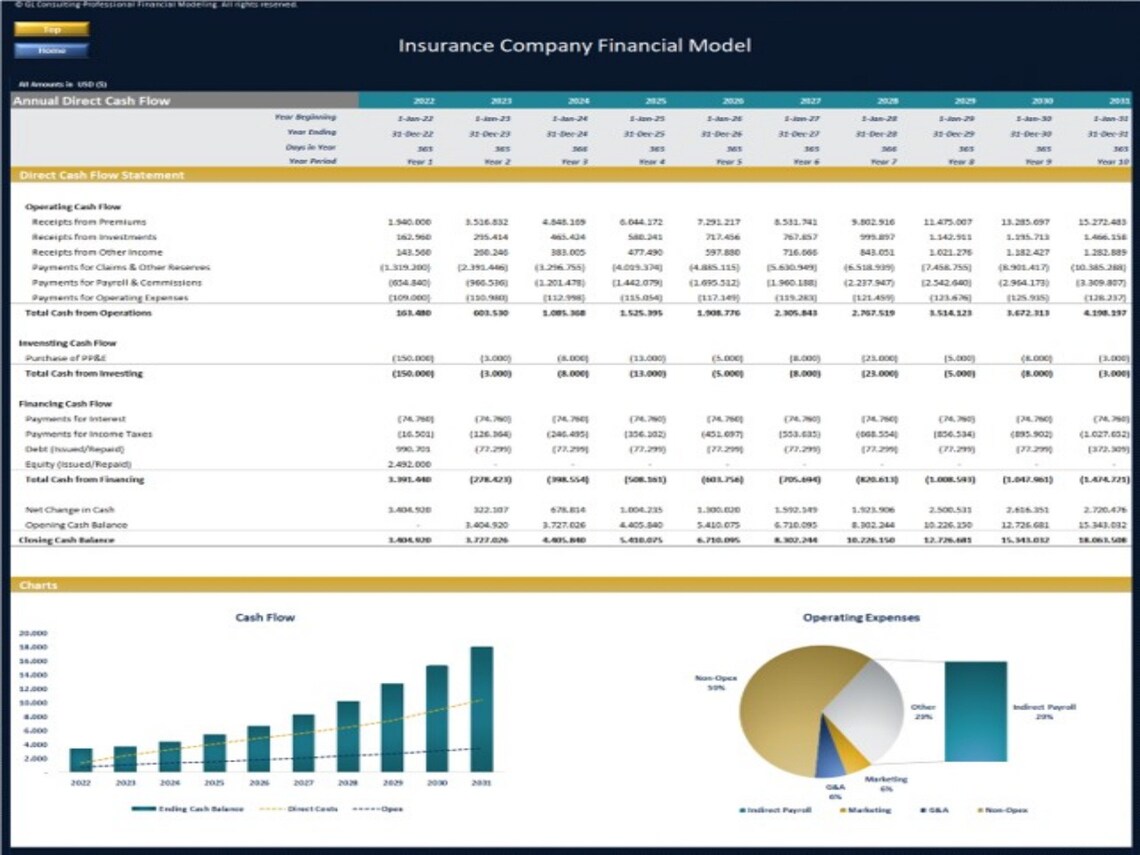 Insurance Company Financial Model Dynamic 10 Year Forecast - Etsy