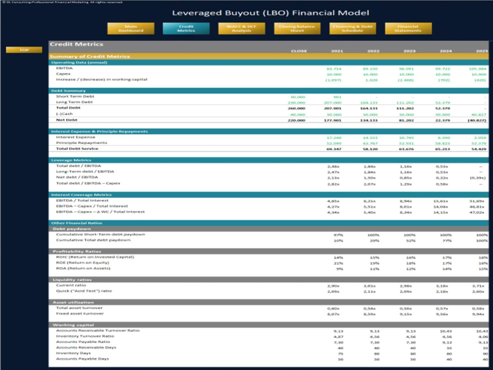Leveraged Buyout (LBO) Financial Model | Investment | Risk | Discounted ...
