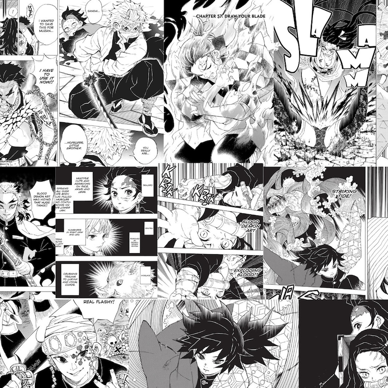 Demon Slayer Panels Manga - Etsy