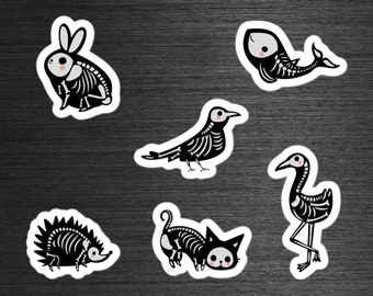 Animal Skeleton - Etsy