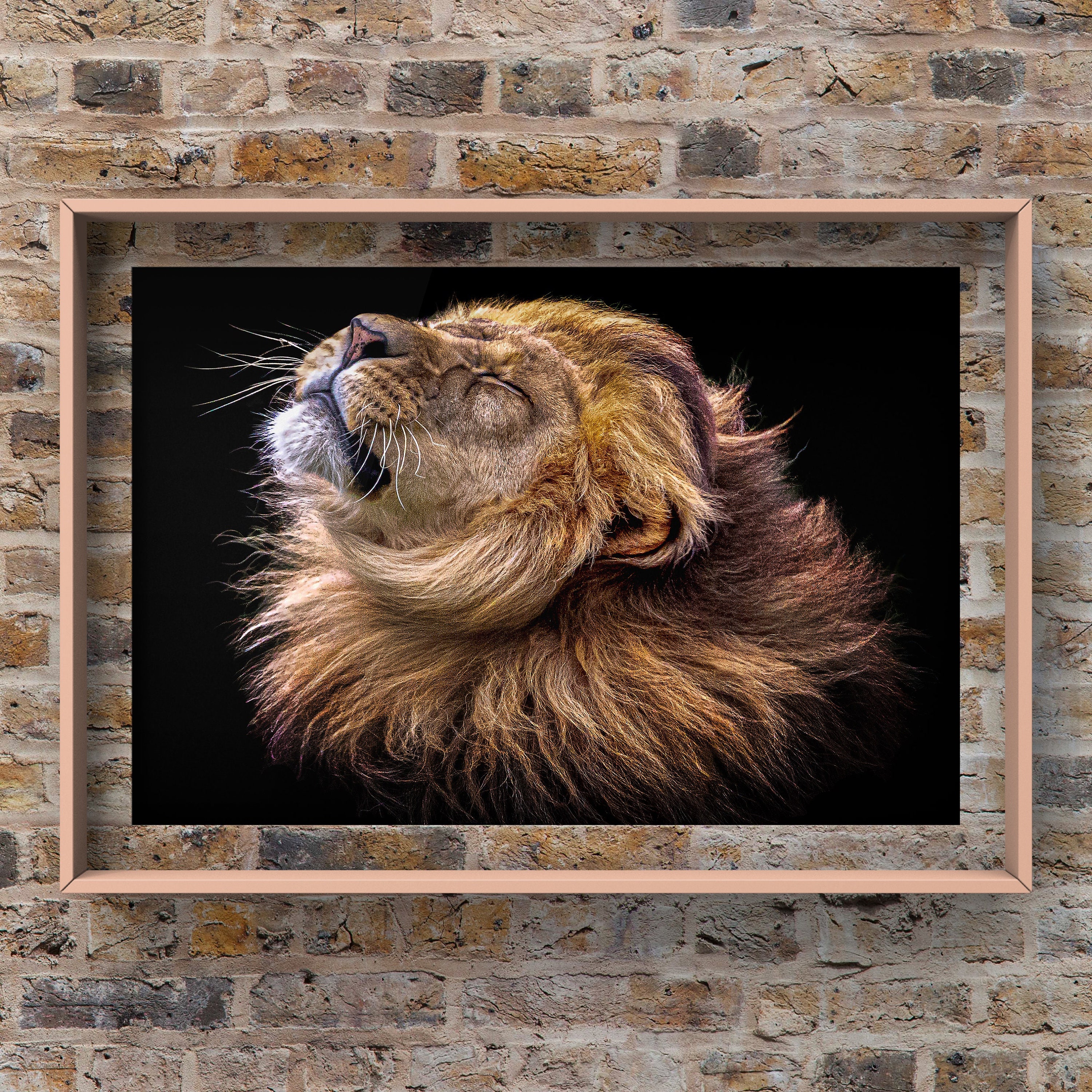 Lion Mane Shake | Etsy