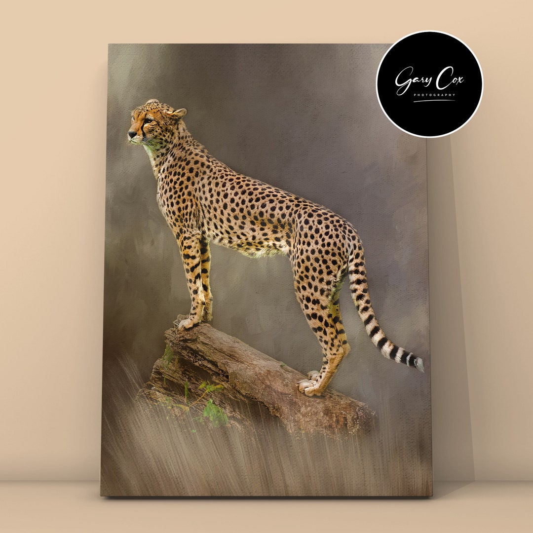 Cheetah Pose - Etsy