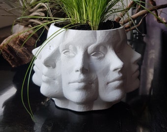 Polyface Planter | Etsy