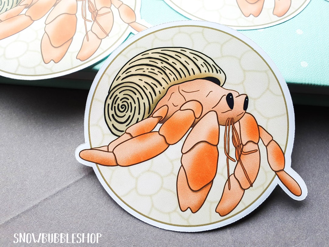Hermit Crab Sticker Water Bottle, Laptop, Planner Glossy, Waterproof - Etsy
