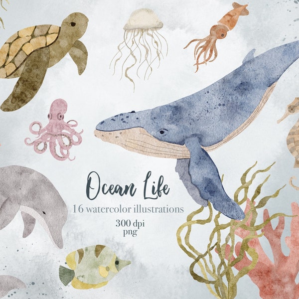 Sea Animals - Etsy