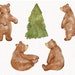 Bear Watercolor Clipart, Woodland Animals Nursery Png, Cute Bear ...