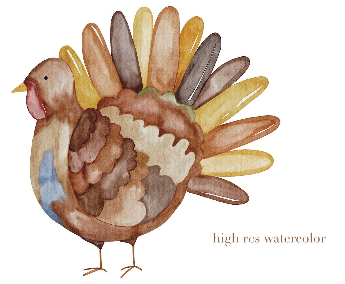 Watercolor Thanksgiving Clipart, Holiday Turkey PNG, Pumpkin Pie ...