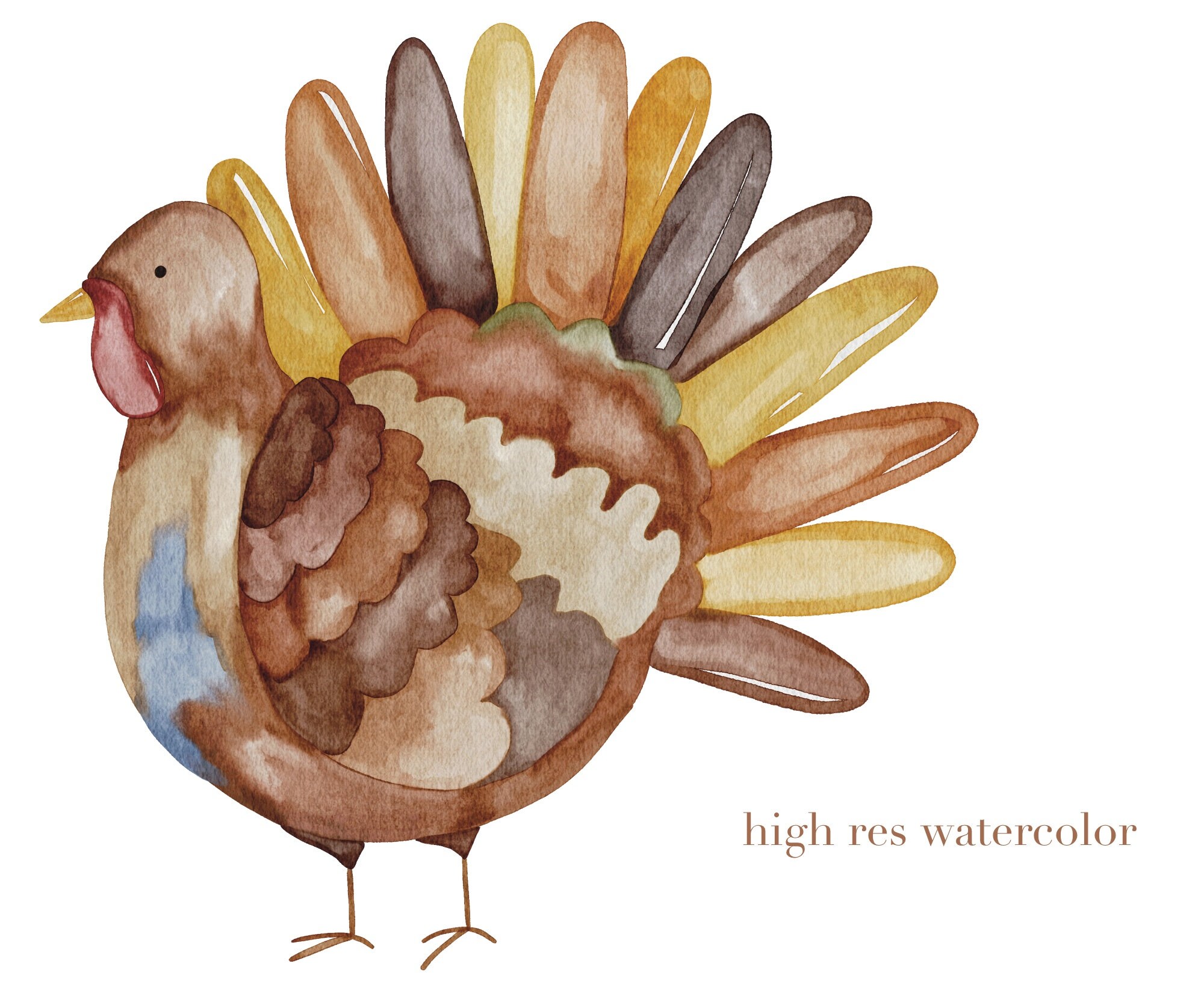 Watercolor Thanksgiving Clipart, Holiday Turkey PNG, Pumpkin Pie ...