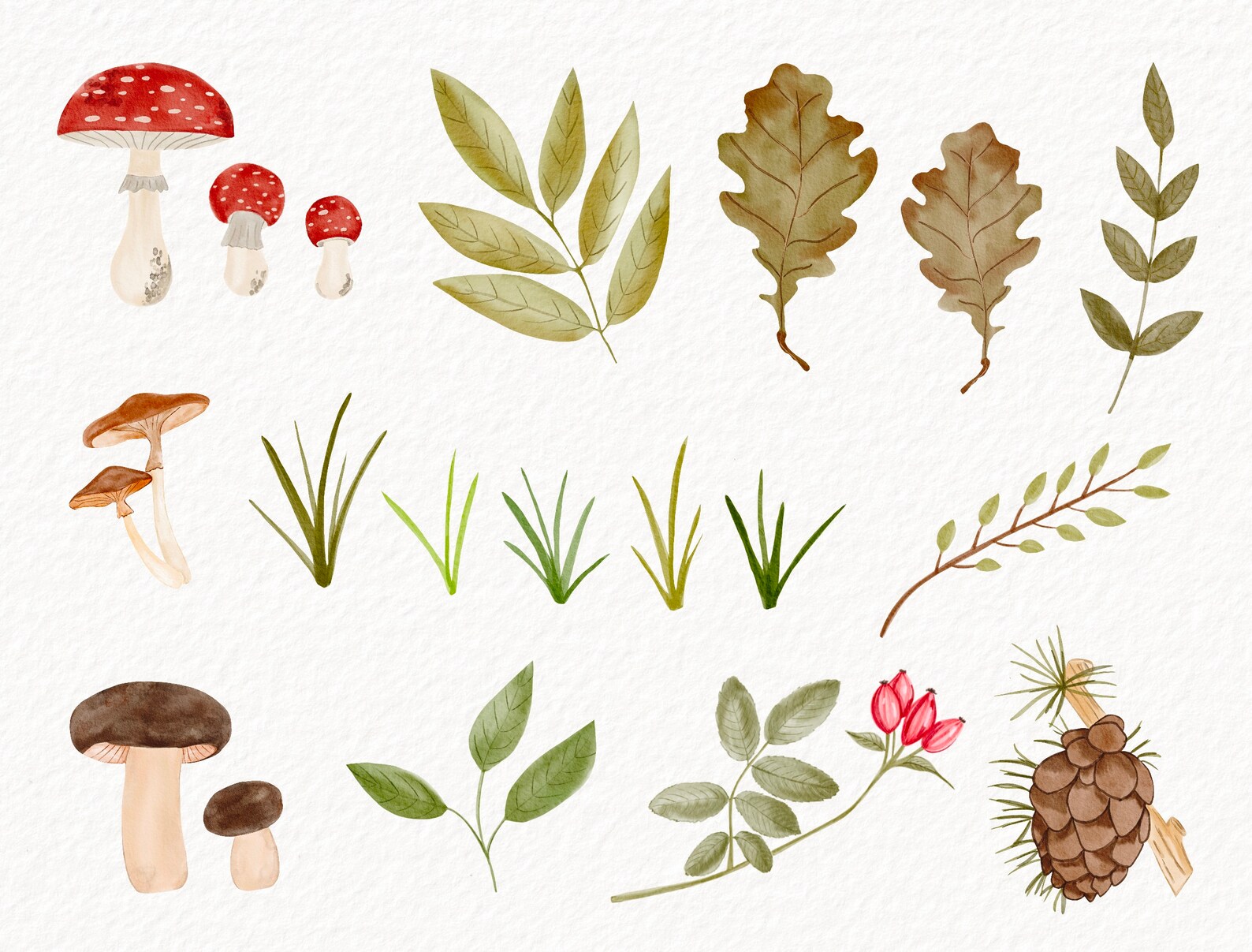 Forest Cute Animals Watercolor Clipart Woodland Animals - Etsy