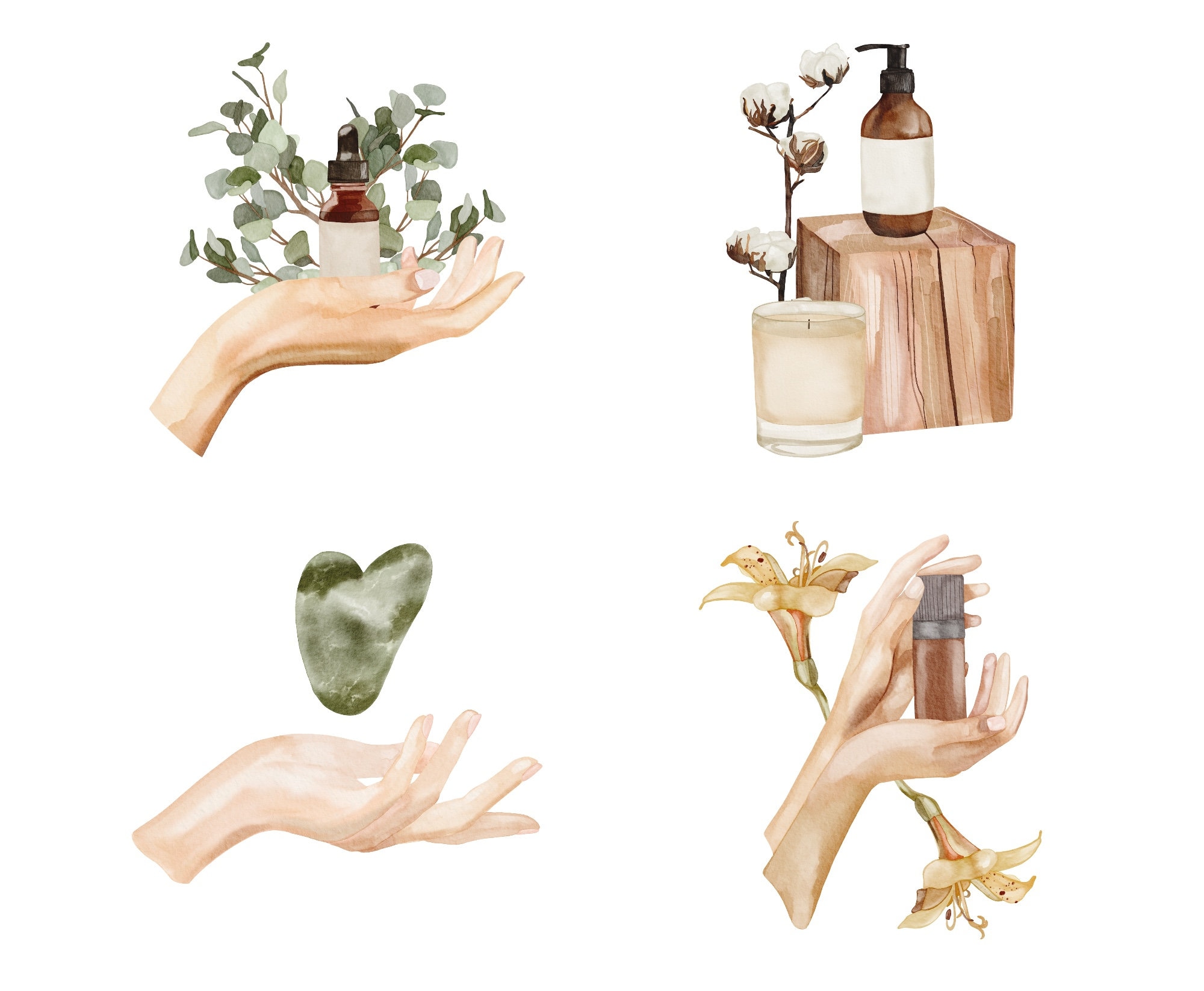 Natural Organic Cosmetics Clipart, SPA Illustrations Digital Download ...