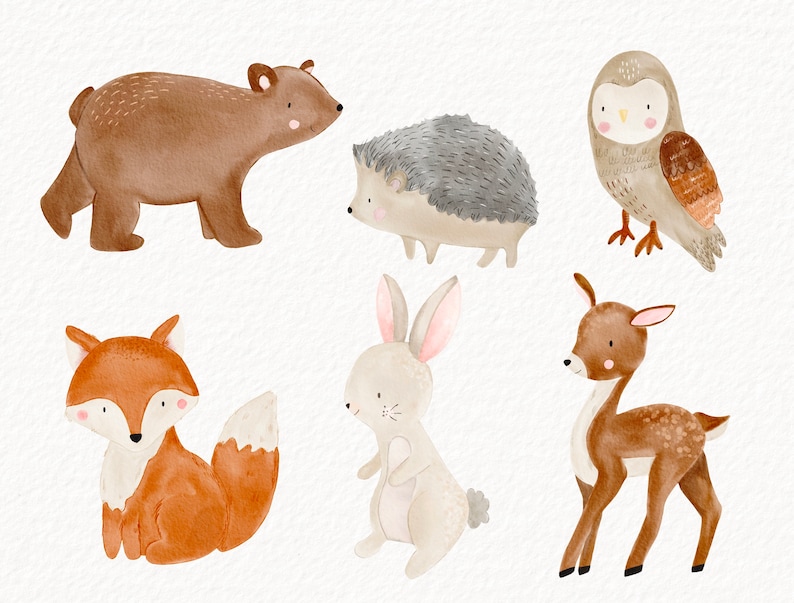 Forest Cute Animals Watercolor Clipart Woodland Animals - Etsy