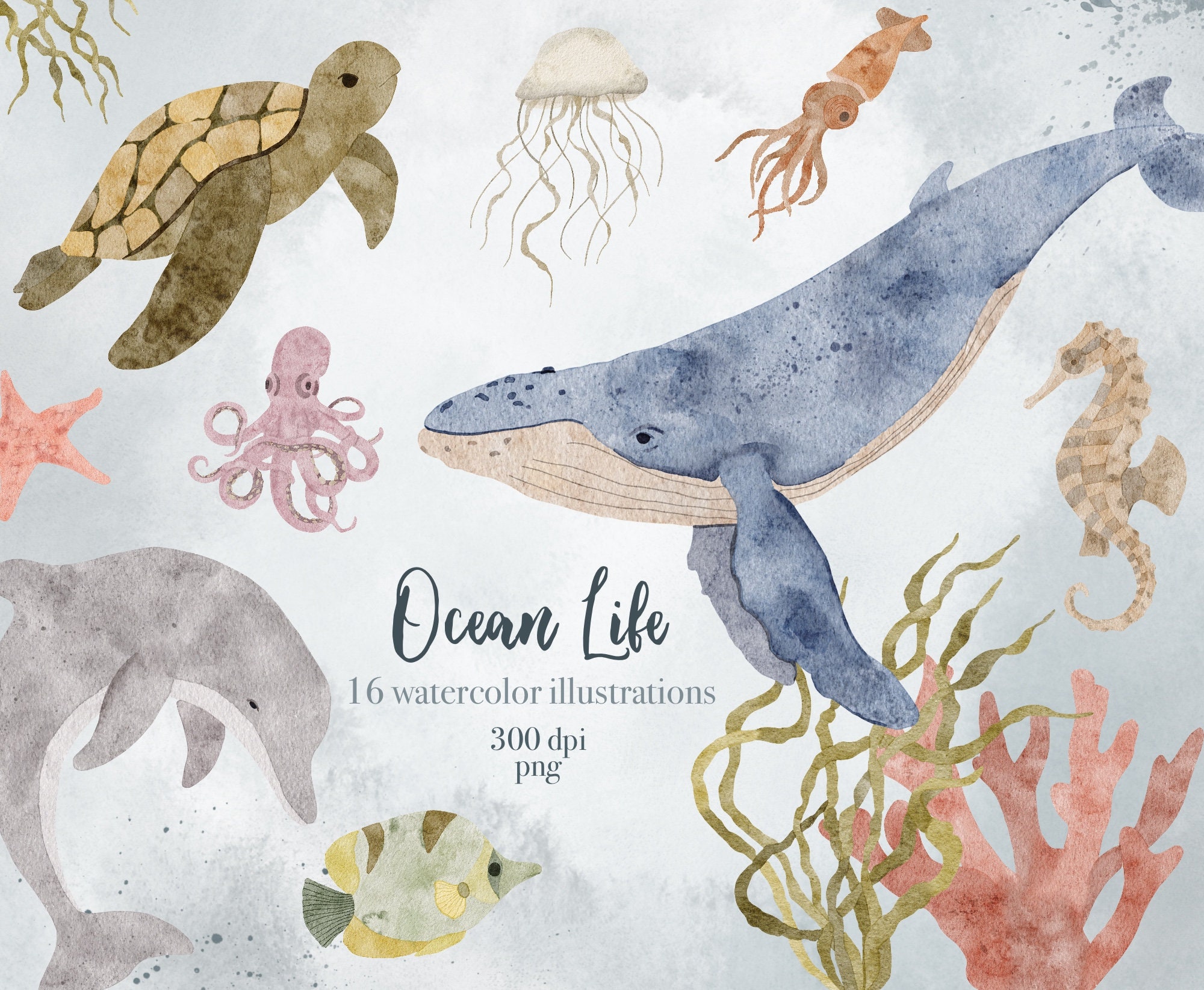 Watercolor Clipart Ocean Life Under the Sea Illustrations - Etsy