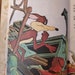 The Roadrunner A Very Scary Lesson A Little Golden Book Vintage ...