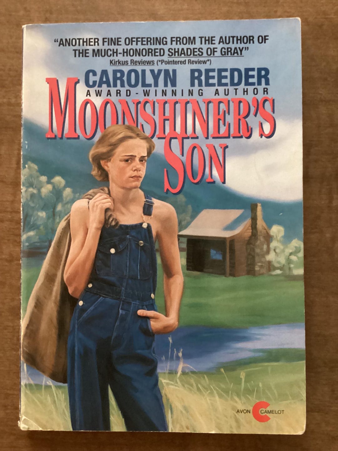 Moonshiner’s Son Vintage Children’s Book by Carolyn Reeder 1993 - Etsy