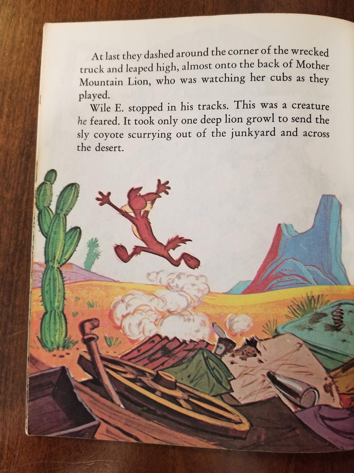 The Roadrunner A Very Scary Lesson A Little Golden Book Vintage ...