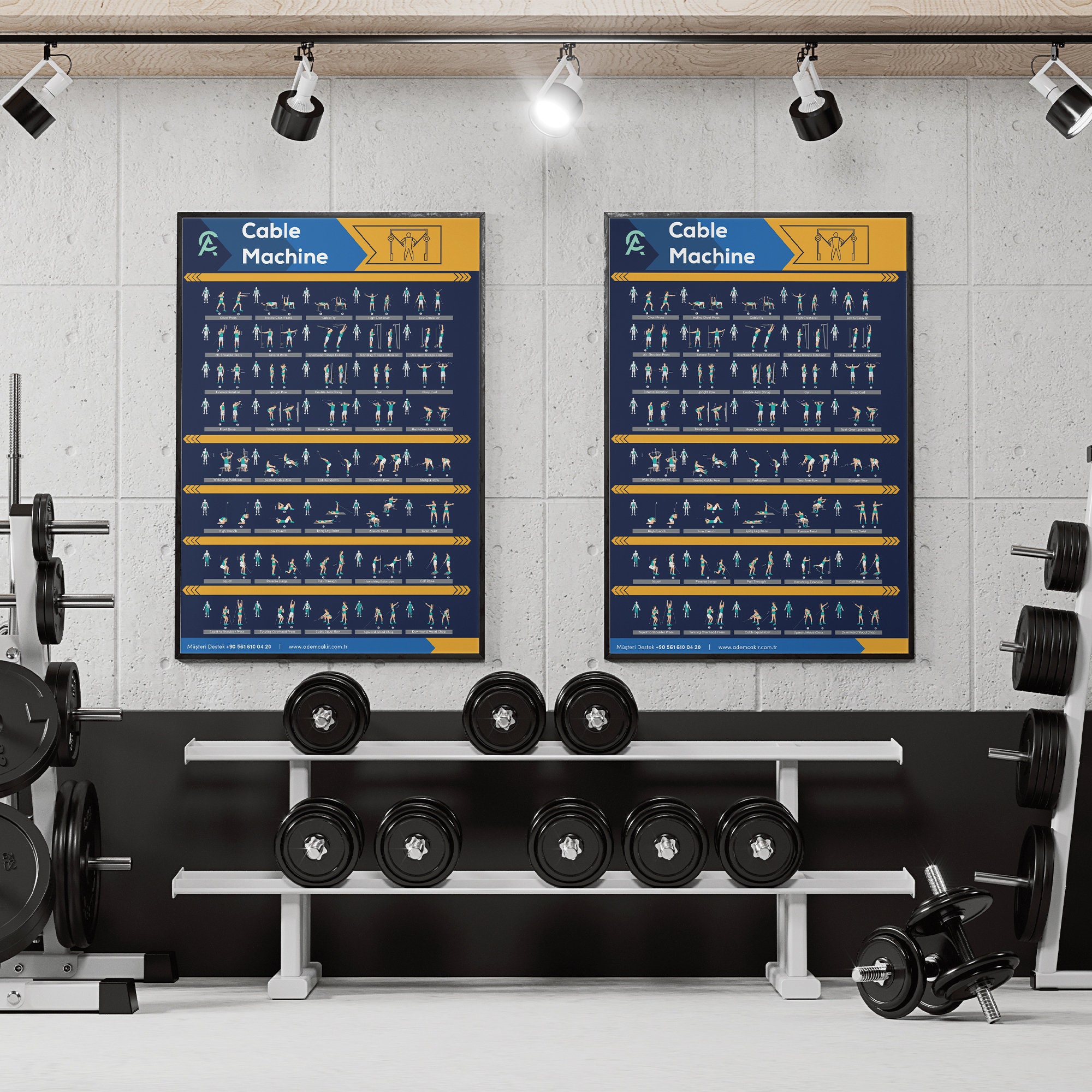 Cable Moves Poster for Gyms - Etsy