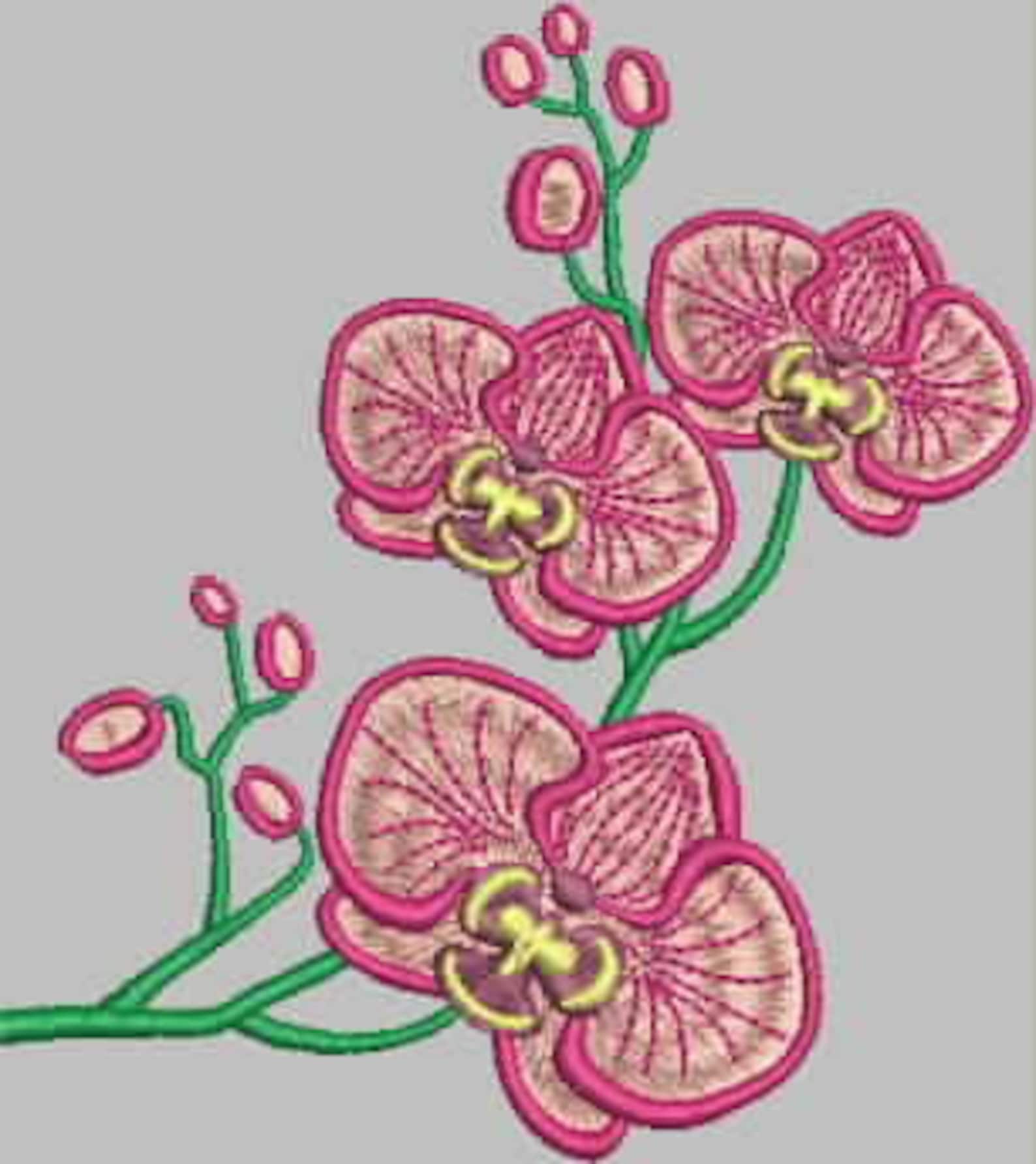 Orchids, Flowers, Machine Embroidery Design, 4 Sizes, 10 Formats ...