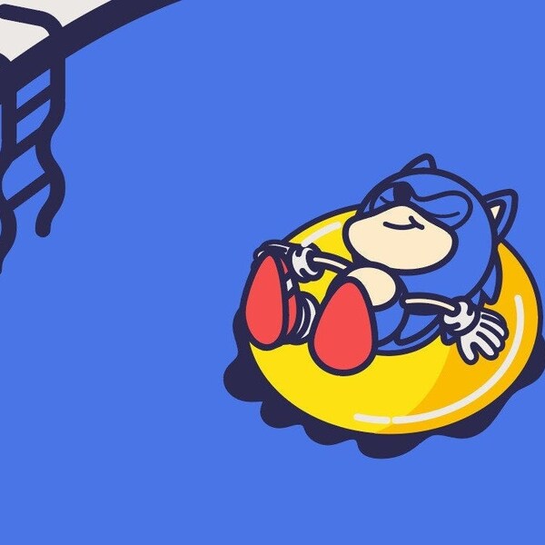 Sonic the Hedgehog Pool Party Birthday Invitation - Etsy