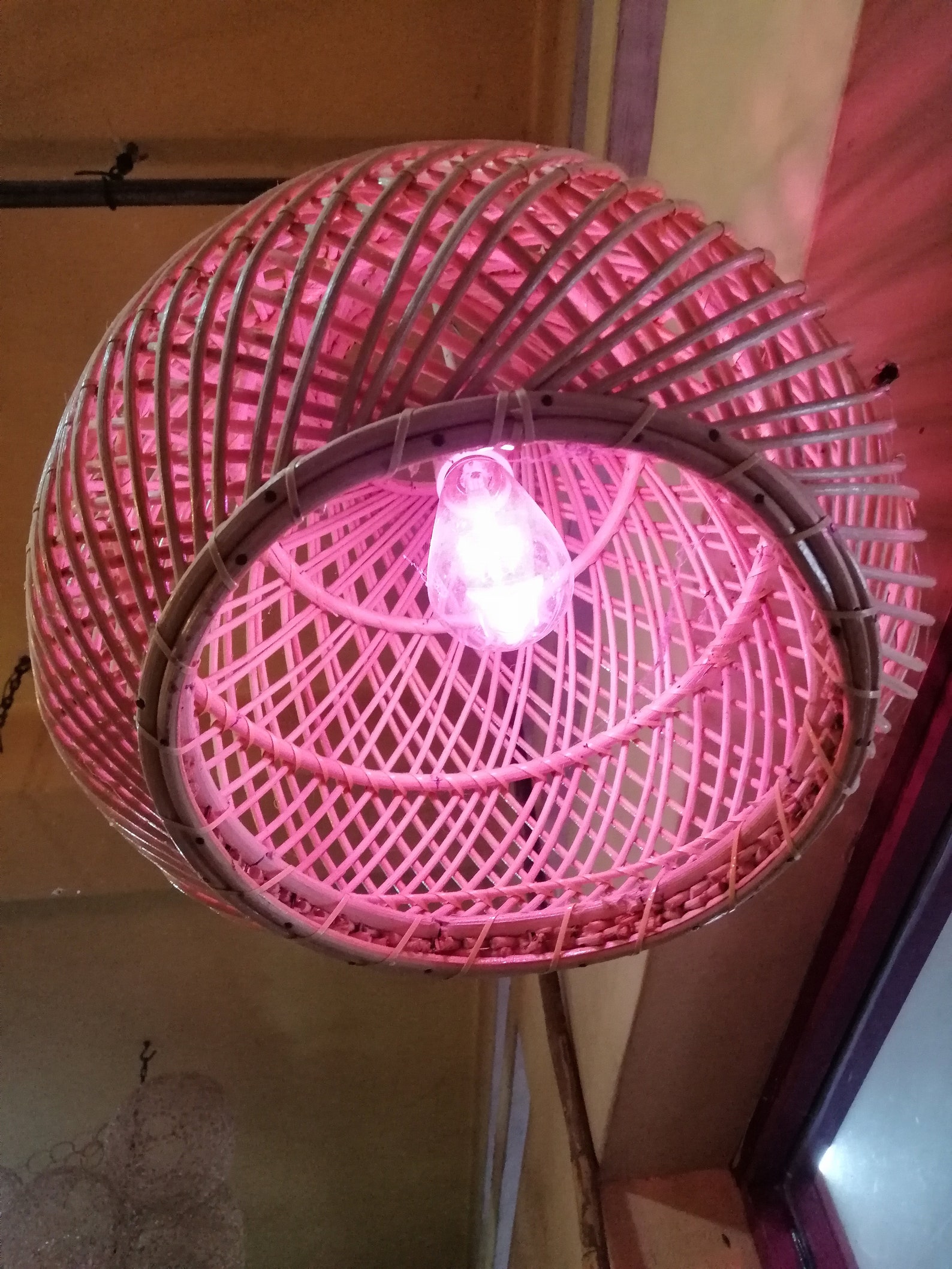 Light Pendant Wicker Lamp shade Cane pendant Cane wall | Etsy