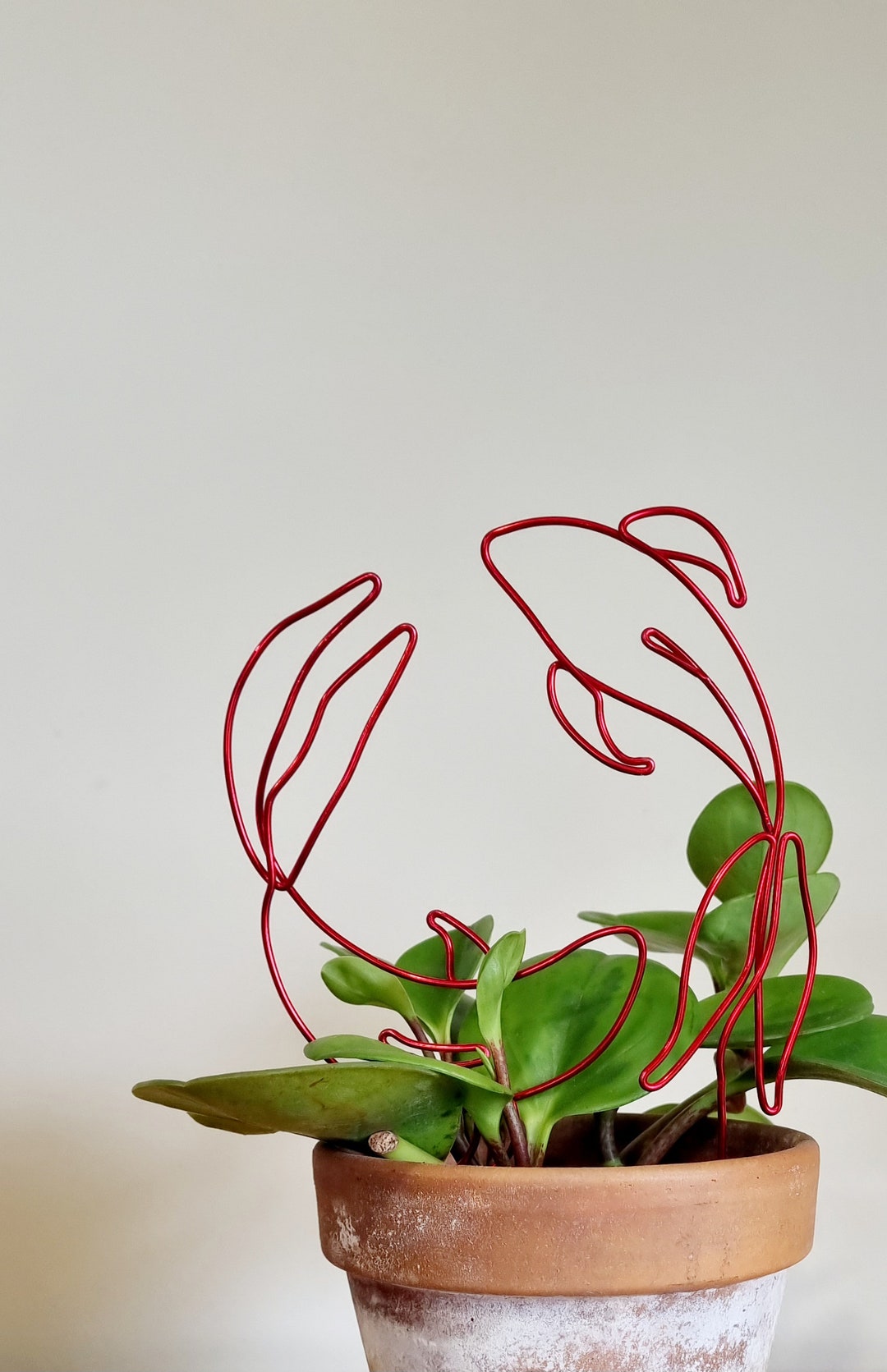 PISCES Wire Plant Stake. Indoor Plant Decor. House Plant Decor. Plant ...