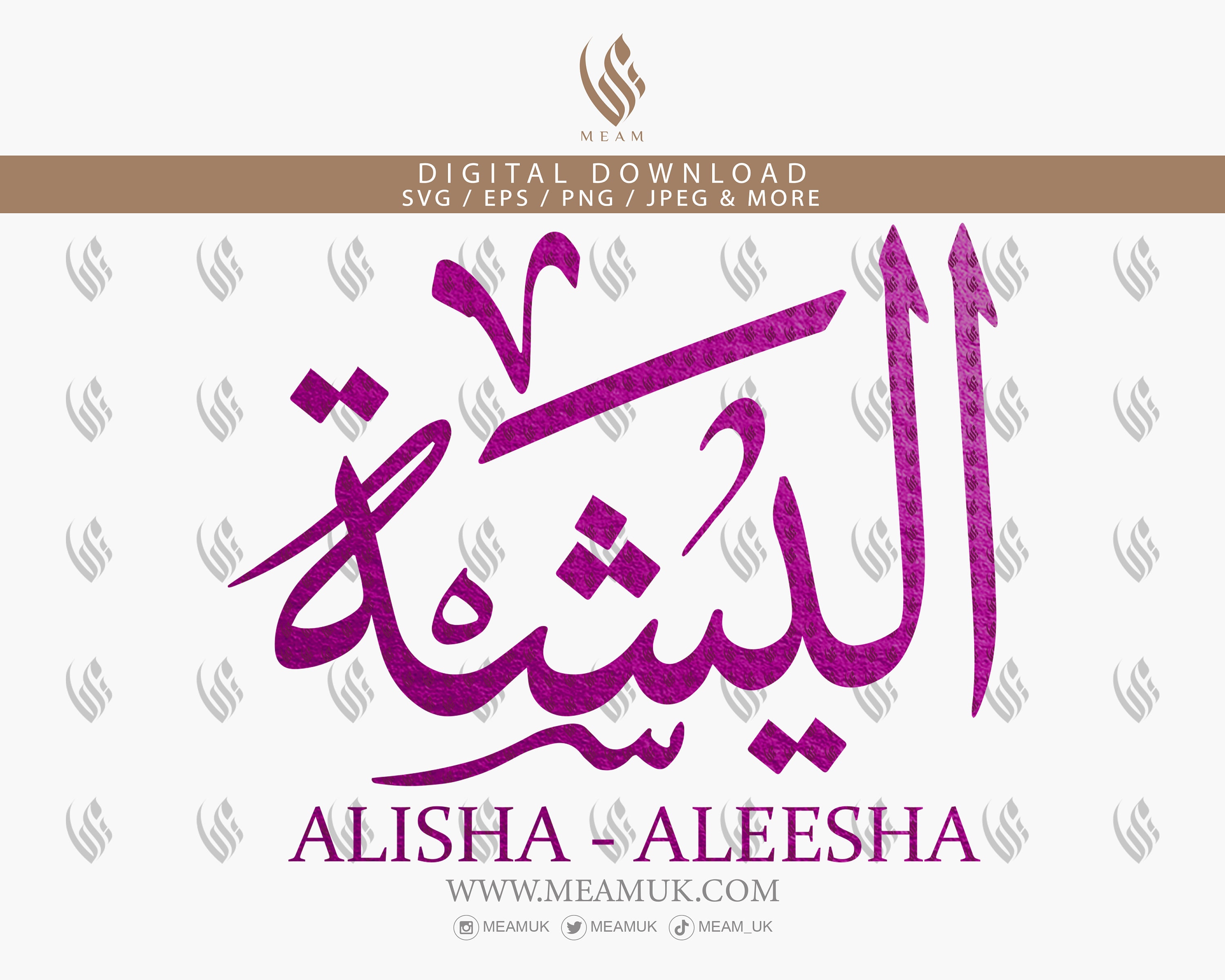 Alisha Aleesha in Arabic Calligraphy Name SVG, Digital Download Files ...