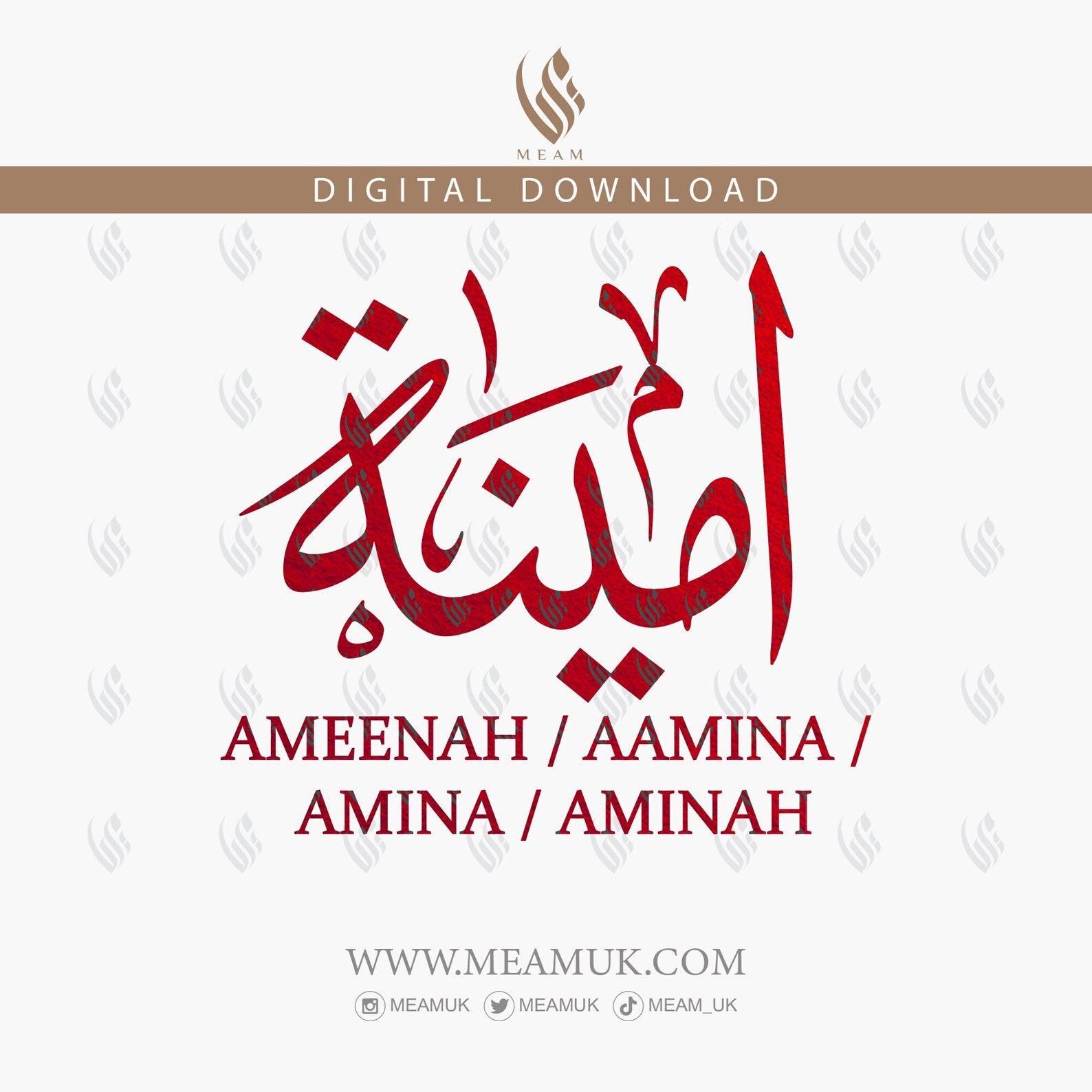 Ameena Amina Aaminah Ameenah in Arabic, Name, SVG, Digital Download ...