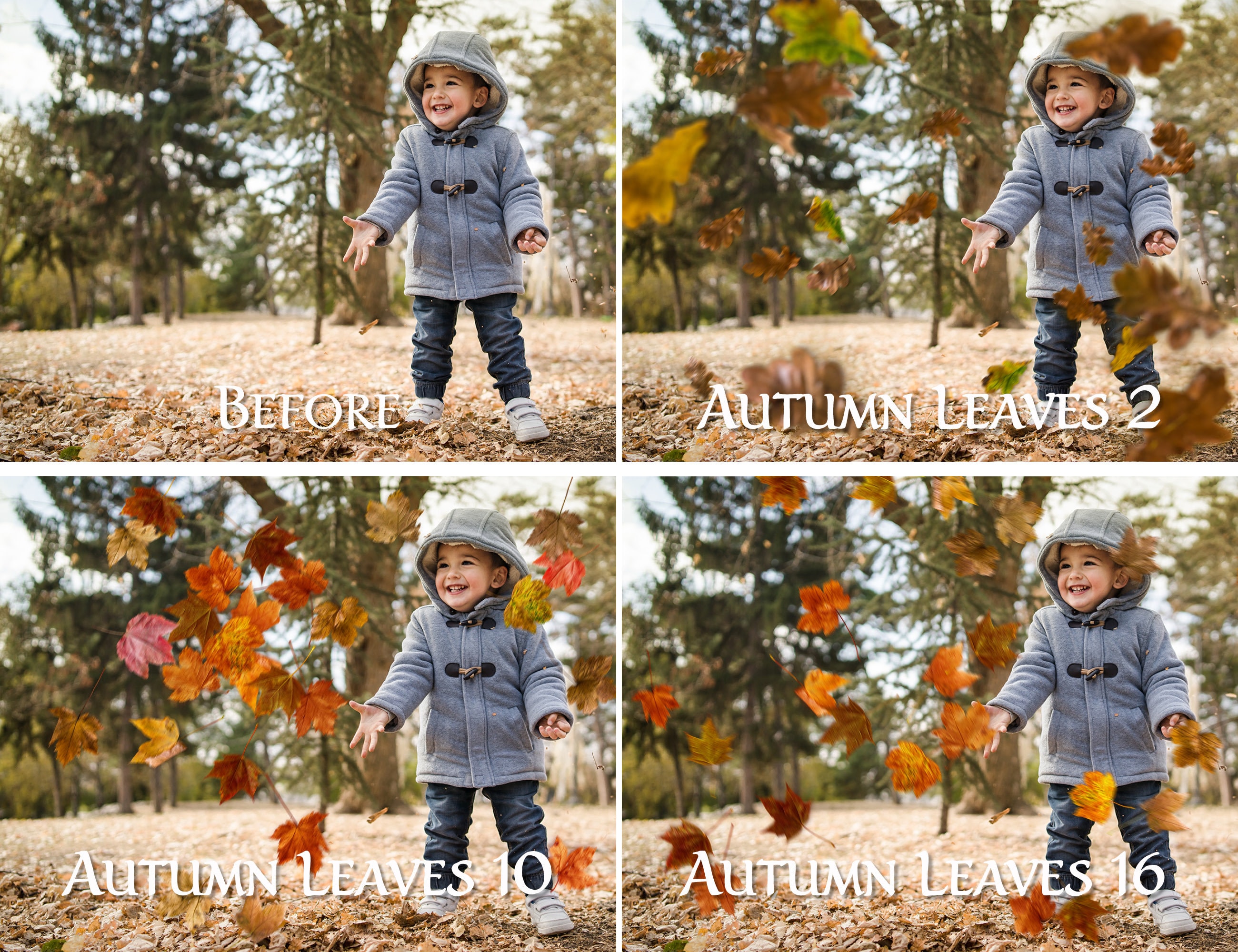 40 Autumn Leaves Overlays 40 Pn Overlays Photo Overlays - Etsy