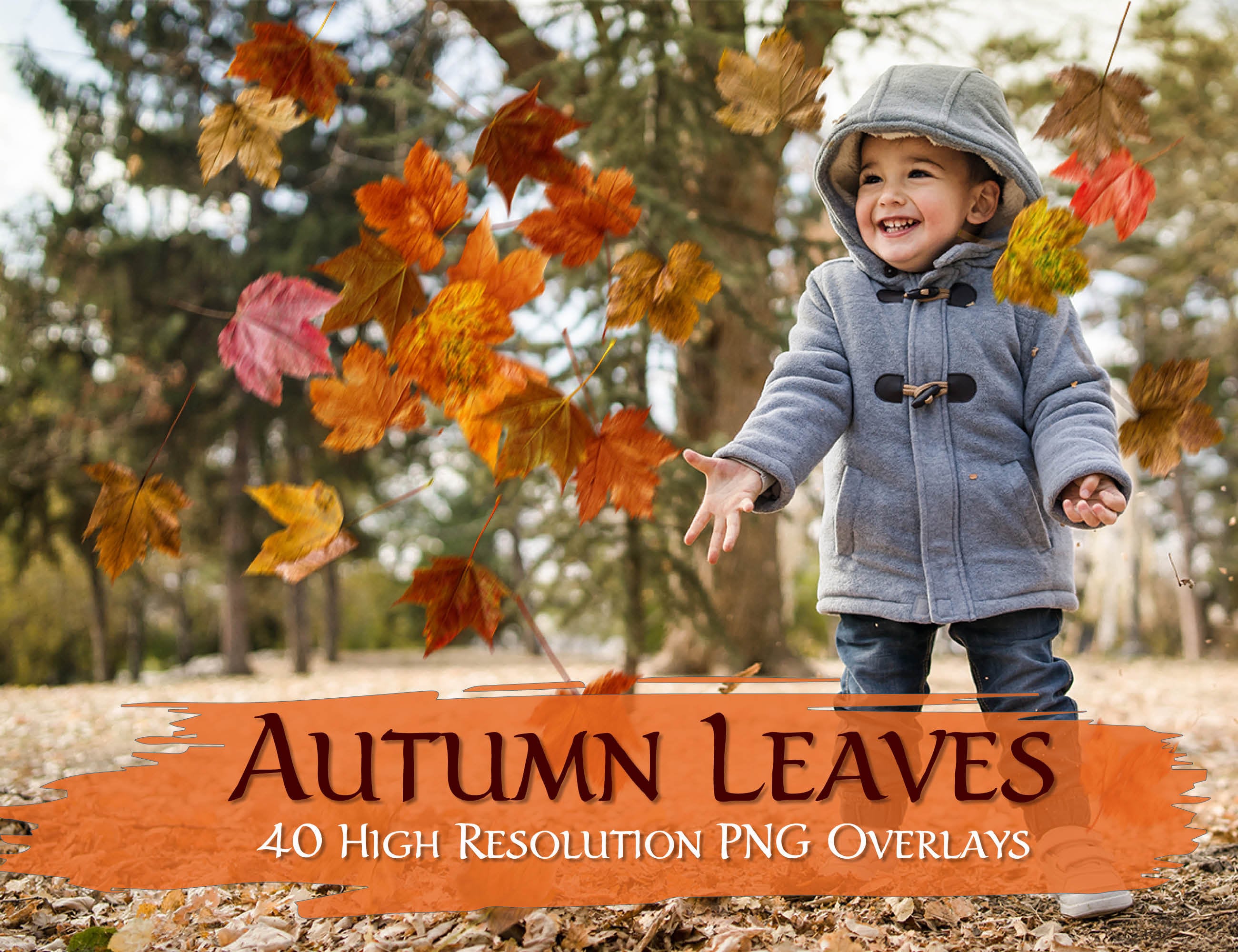 40 Autumn Leaves Overlays 40 Pn Overlays Photo Overlays - Etsy