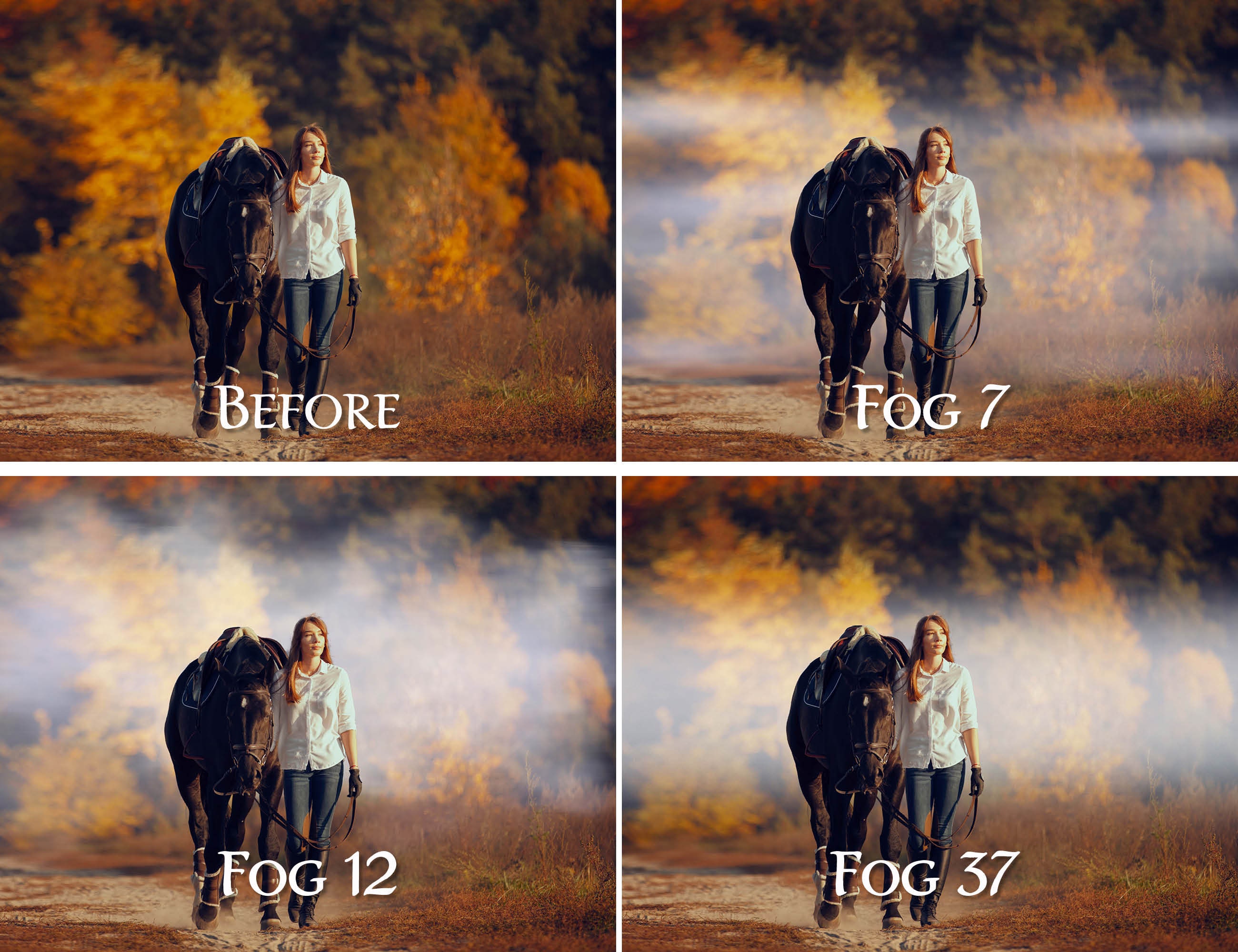 40 Fog Overlays, 40 Png Overlays, Photo Overlays, Mist Overlays, Haze Overlays, Fall Overlays ...