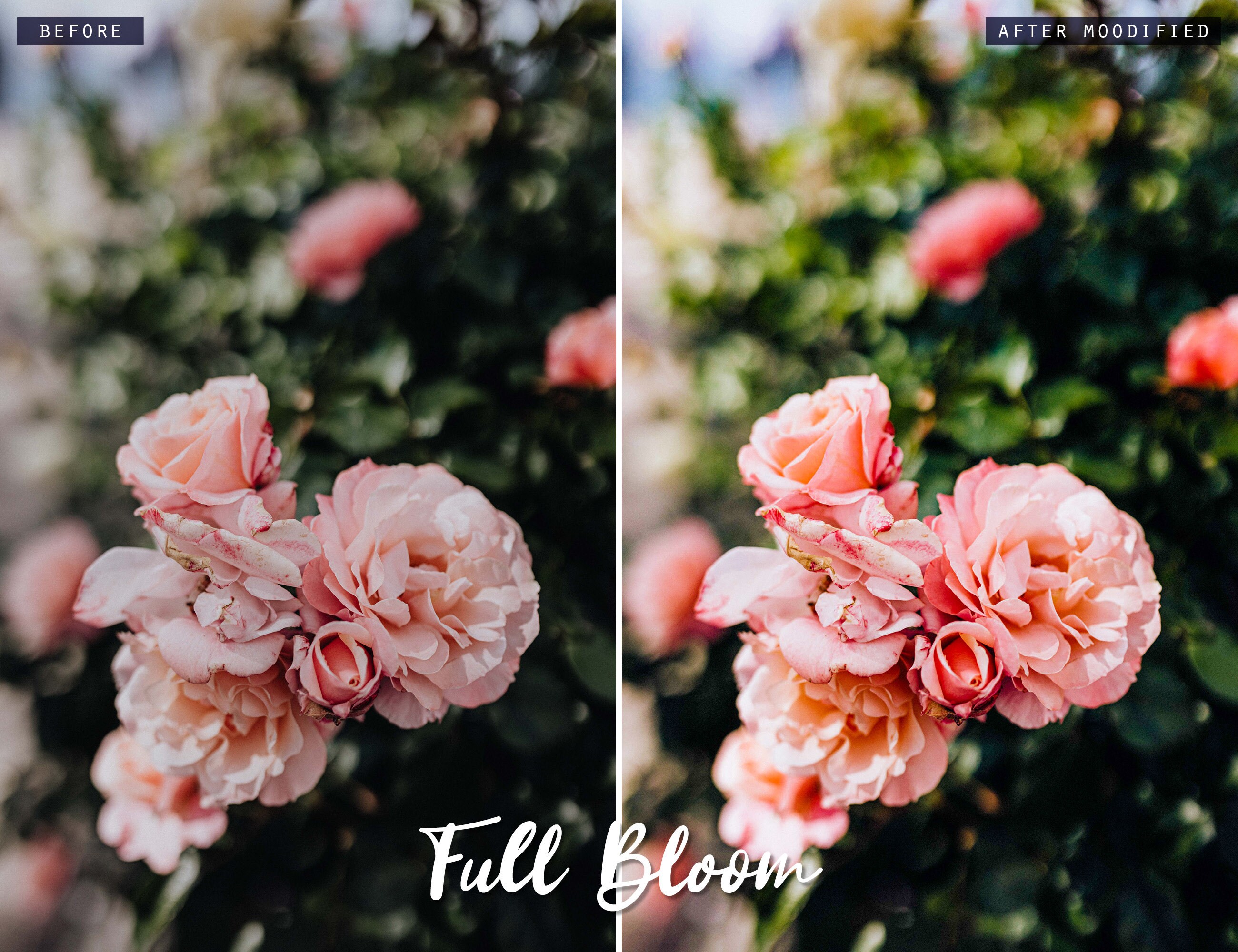 Full Bloom Lightroom Presets, Spring Photography, Mobile & Desktop ...
