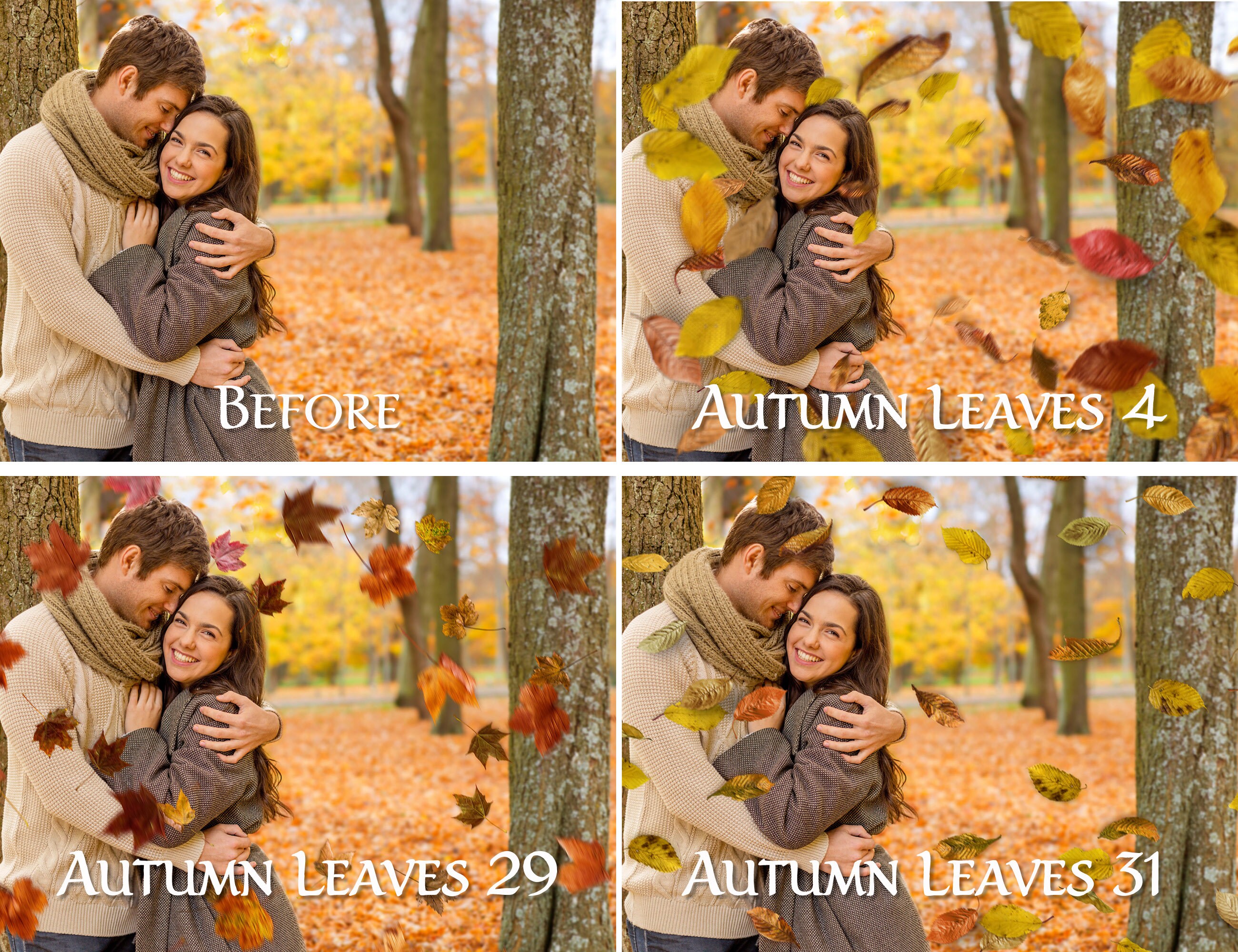 40 Autumn Leaves Overlays 40 Pn Overlays Photo Overlays - Etsy