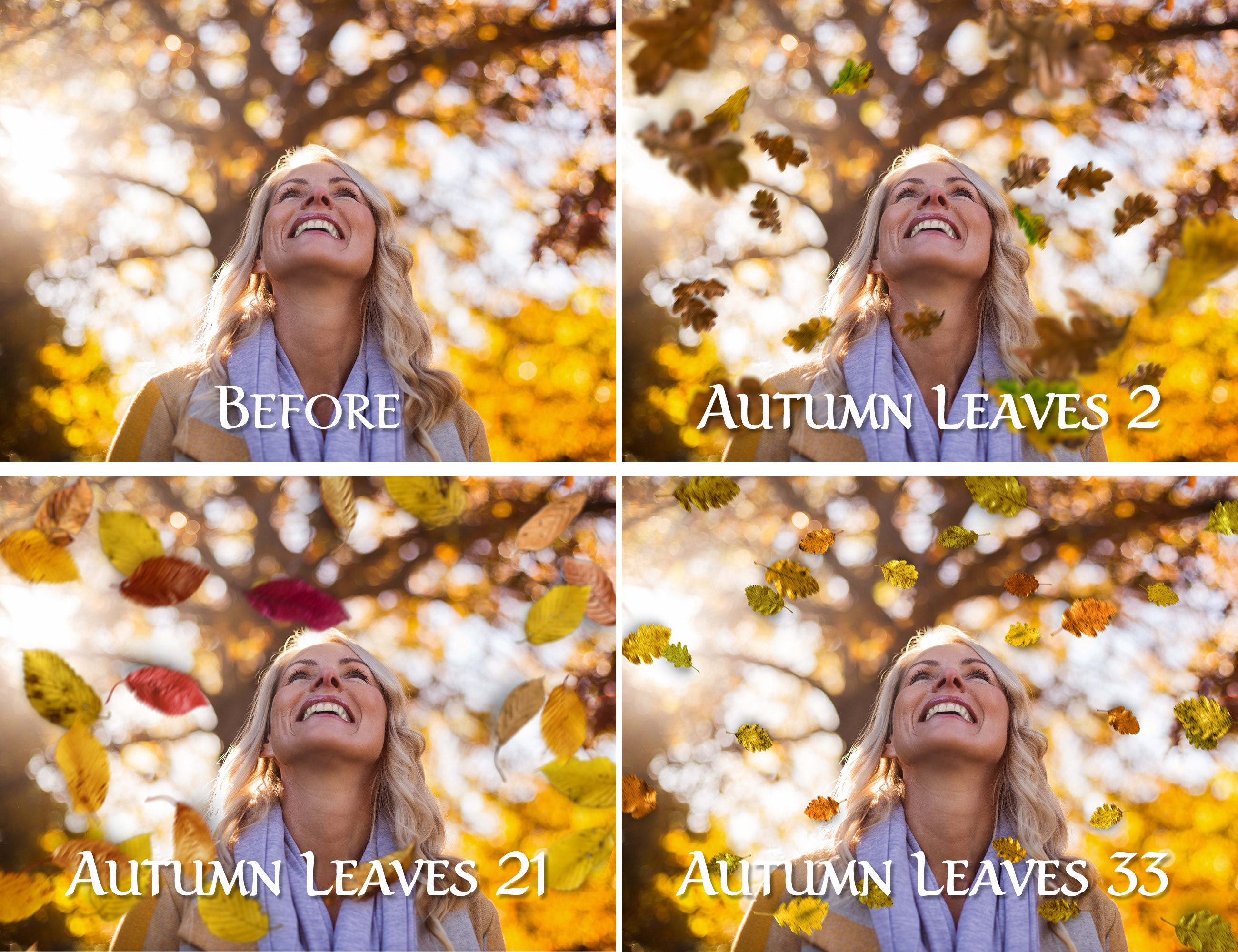40 Autumn Leaves Overlays 40 Pn Overlays Photo Overlays - Etsy