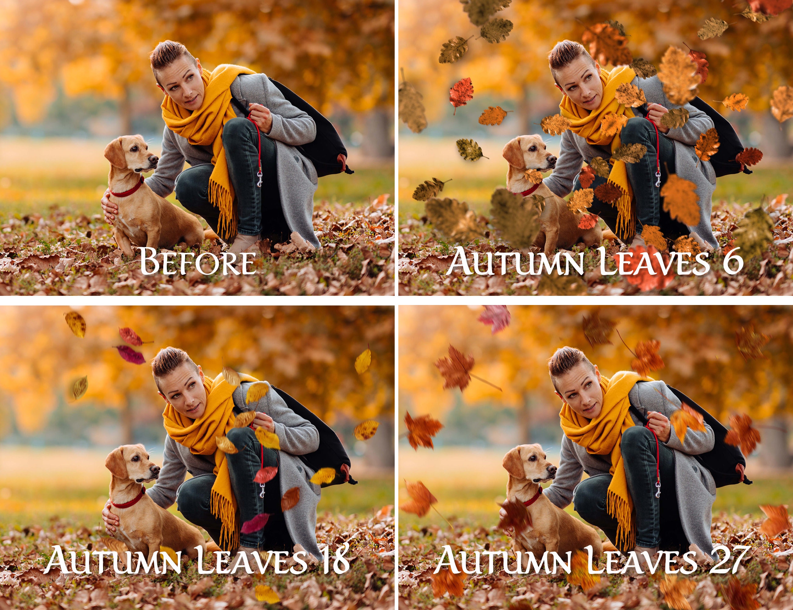 40 Autumn Leaves Overlays 40 Pn Overlays Photo Overlays - Etsy