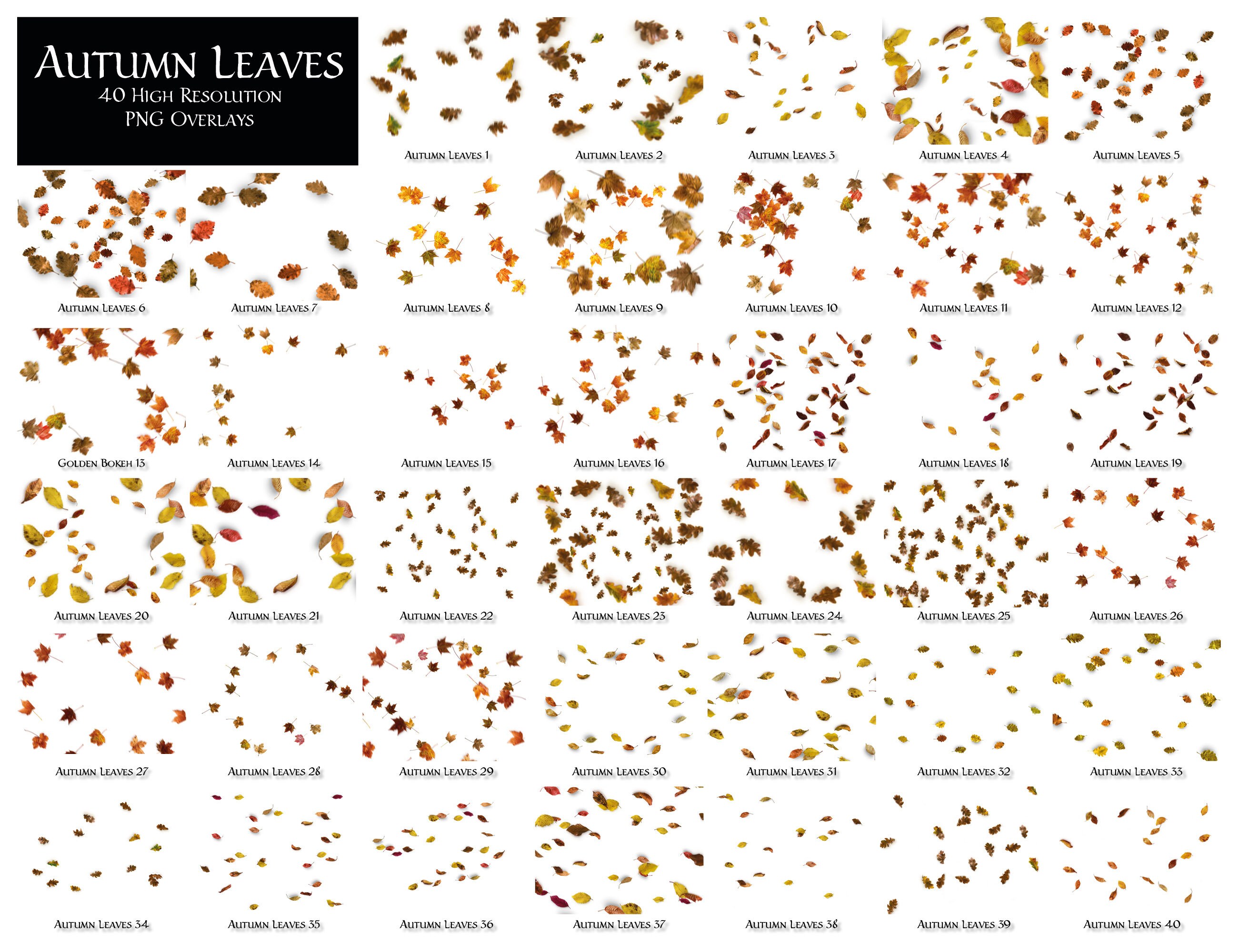 40 Autumn Leaves Overlays 40 Pn Overlays Photo Overlays - Etsy