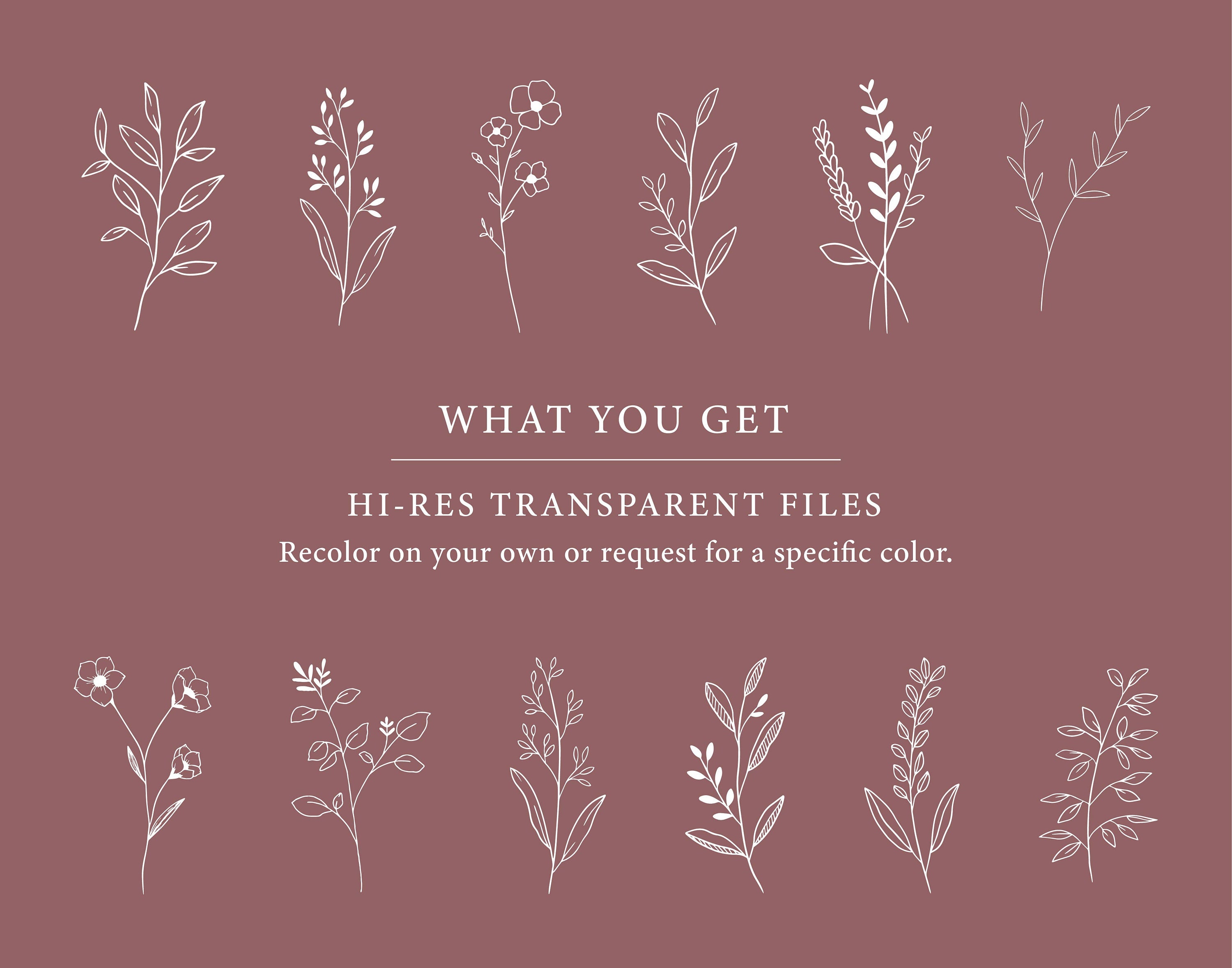 Set of 12 Dainty Floral Svg, Dainty Leaf Svg, Minimalist Flower Svg ...