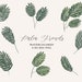 Palm Fronds, Palm Leaf, Palm Leaves Clipart, Watercolor Tropical Leaves ...