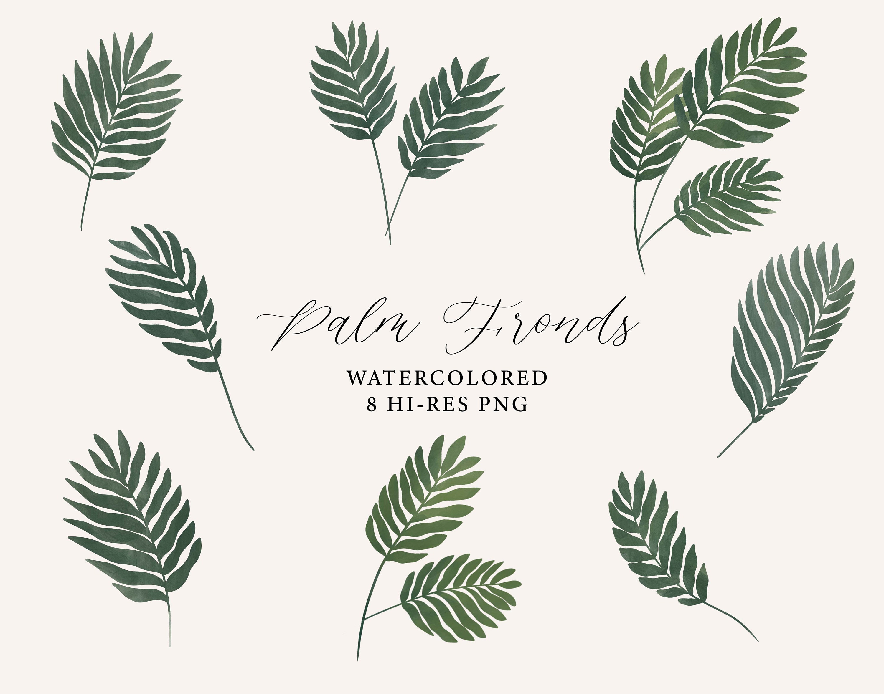 Palm Fronds, Palm Leaf, Palm Leaves Clipart, Watercolor Tropical Leaves ...