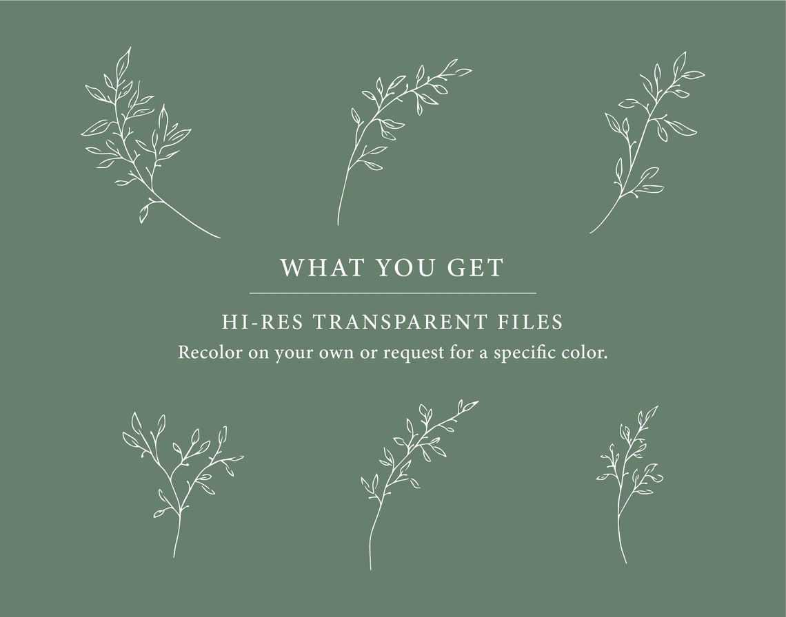 Set of 6 Dainty Leaves Svg, Dainty Leaf Svg, Minimalist Foliage Svg ...