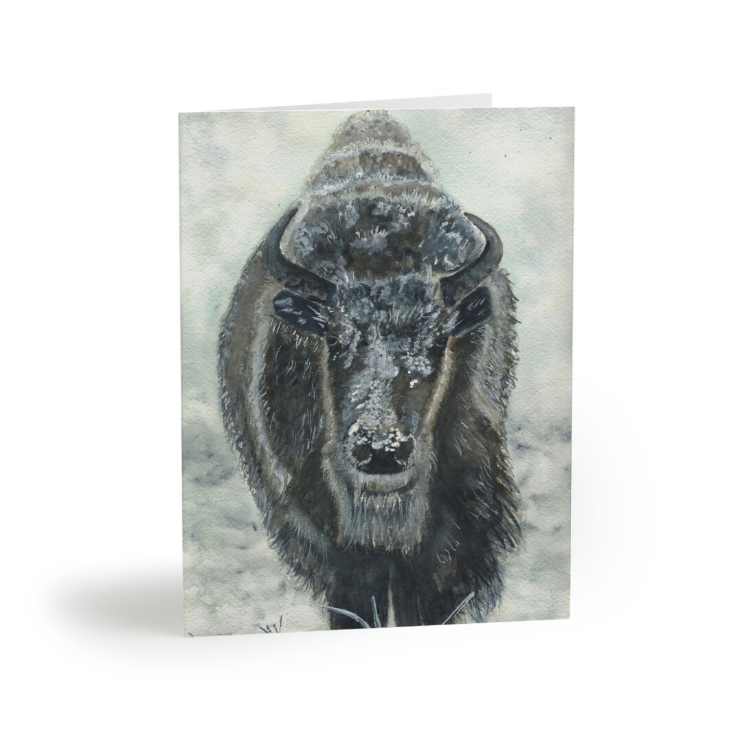 Buffalo Original Watercolor Print Greeting Cards Wildlife Note Card Art ...