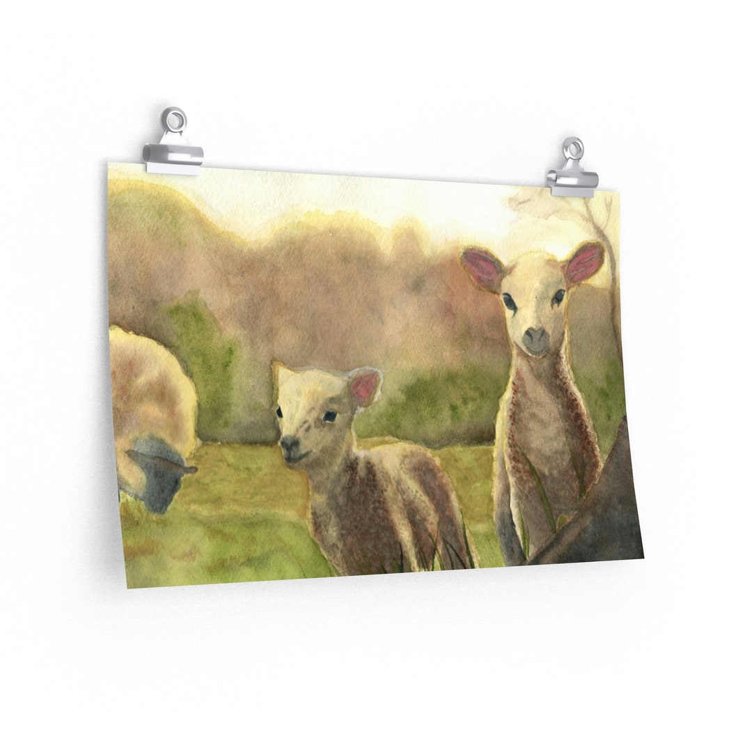 Lambs Watercolor Print Sheep Nursery Decor Wall Art - Etsy
