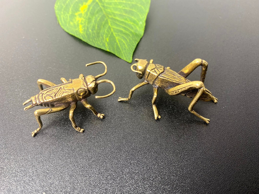 2pcs Antiqued Brass Cricket Statue Figurine Tiny Animal Gold - Etsy