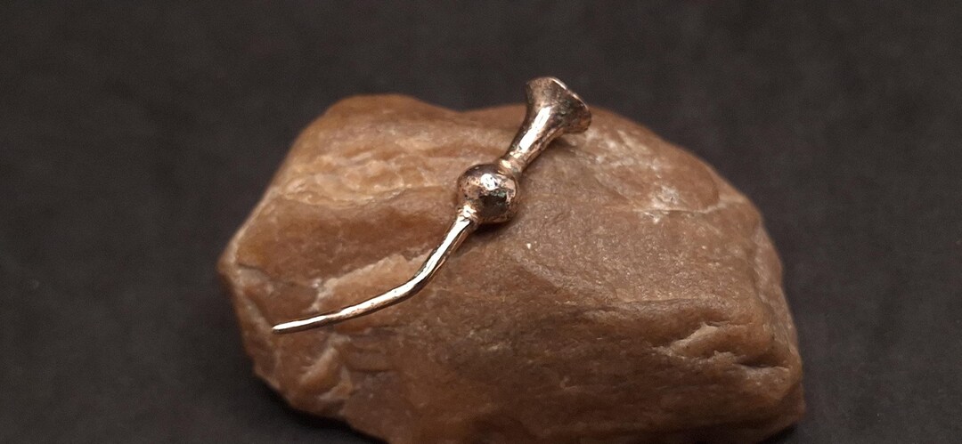 Ancient Artifact of the Bronze Age. Ancient Scythian Ritual Skin ...