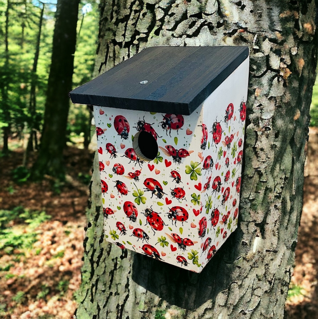 Ladybird and Clover Bird Box, Ladybird Bird Box, Ladybird Nesting Box ...