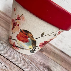 Red Robin Terracotta Flower Plant Pot, Red Gardening Indoor Planter ...