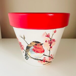 Red Robin Terracotta Flower Plant Pot, Red Gardening Indoor Planter ...