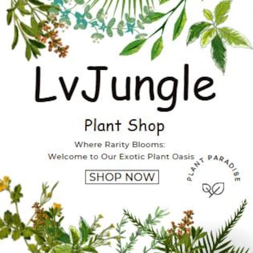 LvJungle - Etsy